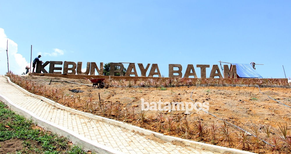 Dua Tahun Pembangunan Kebun Raya Batam Tersendat – batampos.co.id