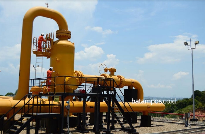 Pengelola Kawasan Industri Diminta Bersabar - batampos.co.id