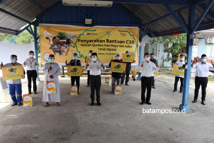 bright PLN Batam Serahkan Bantuan Hewan Qurban - Metropolis